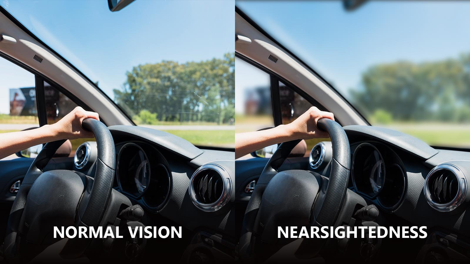 Alecia Steyn Optometrist | Passionate, high quality eye care ...